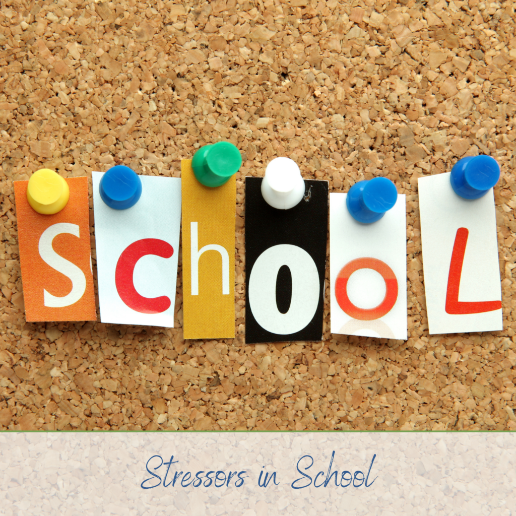 Stressors in School